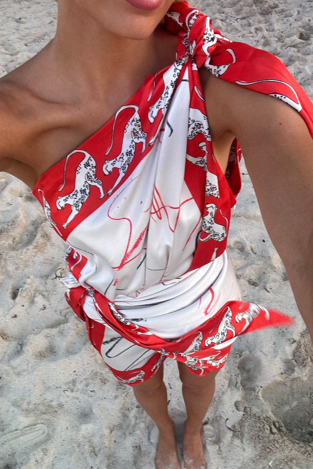 Mundo Mini Dress — Feline